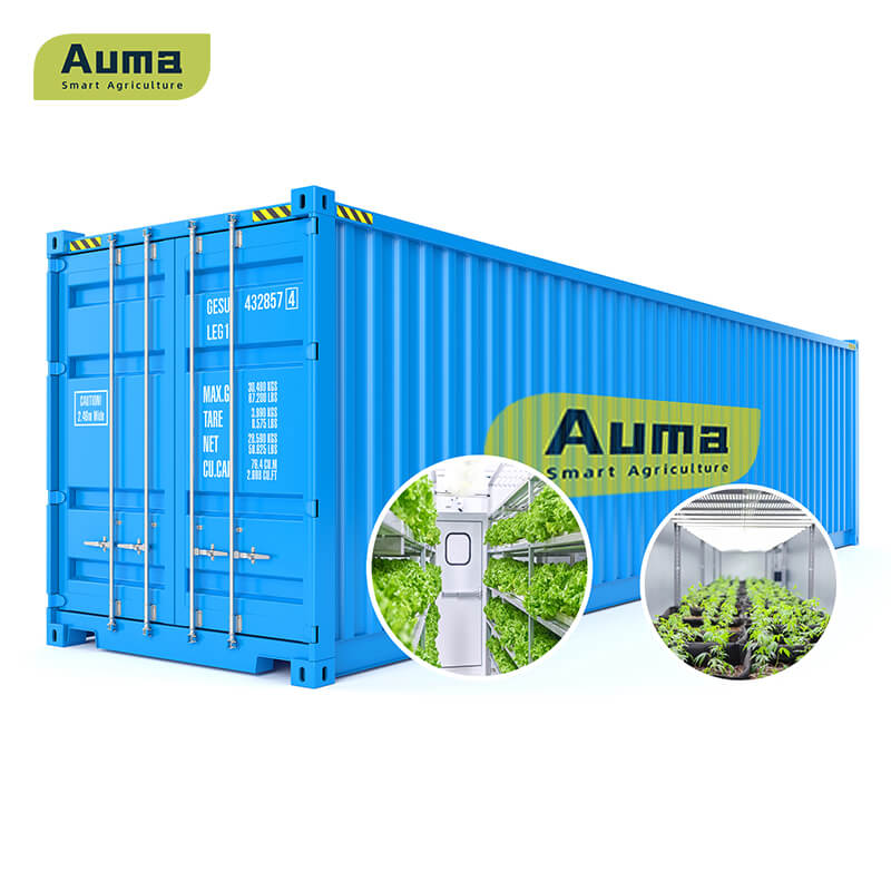 Container hydroponic cultivation method from China manufacturer ...