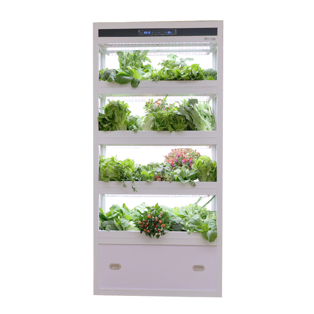 China advanced white Hydroponic growing cabinet manufacturers, advanced ...